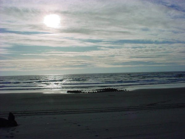 The Oregon Coast Beaches – The Bella | Adventures along the Umpqua ...