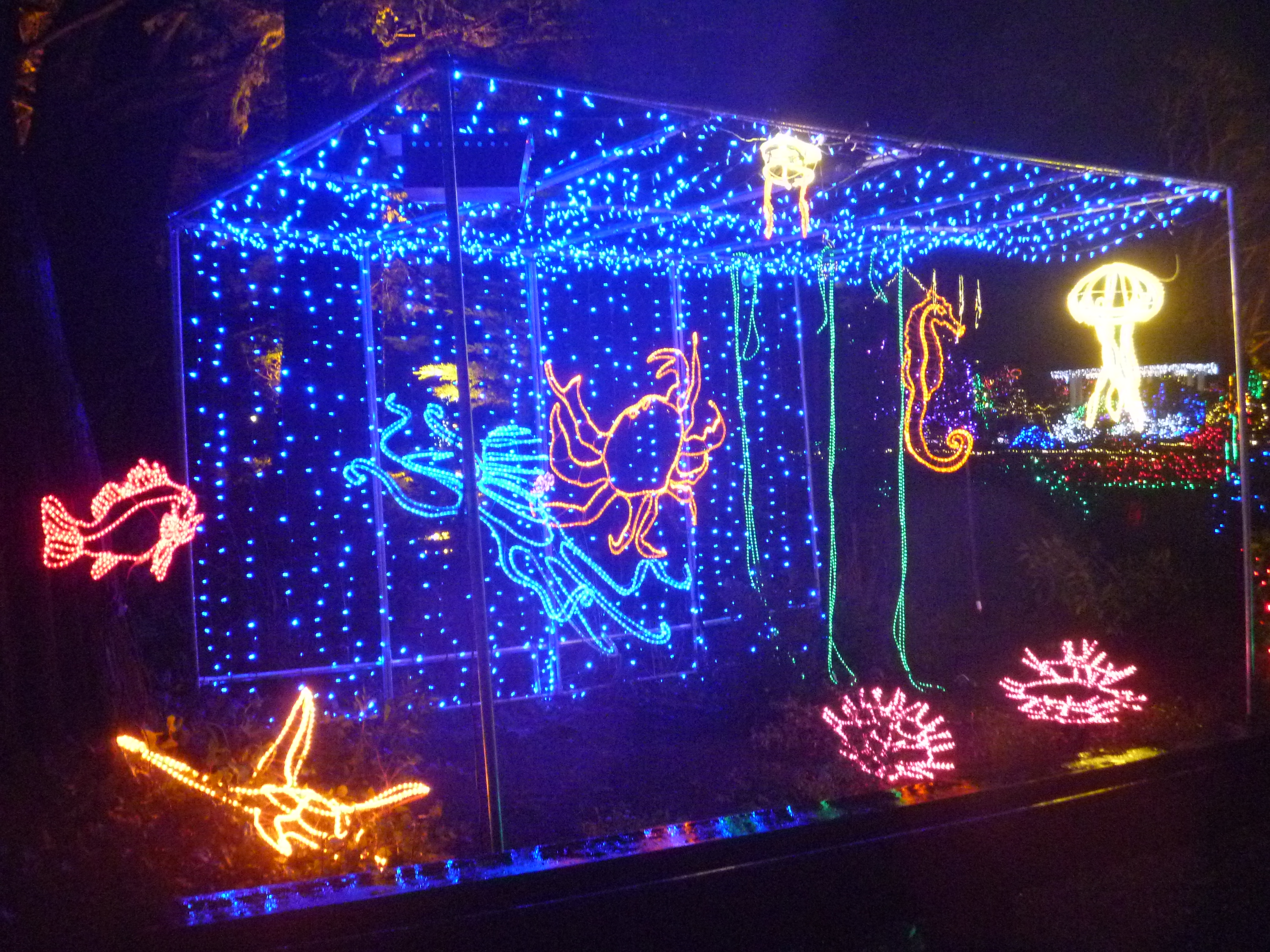 Oregon Coast Holiday Lights | Adventures along the Umpqua River and the ...