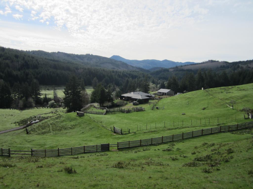 Langlois, Oregon | Adventures along the Umpqua River and the Oregon Coast