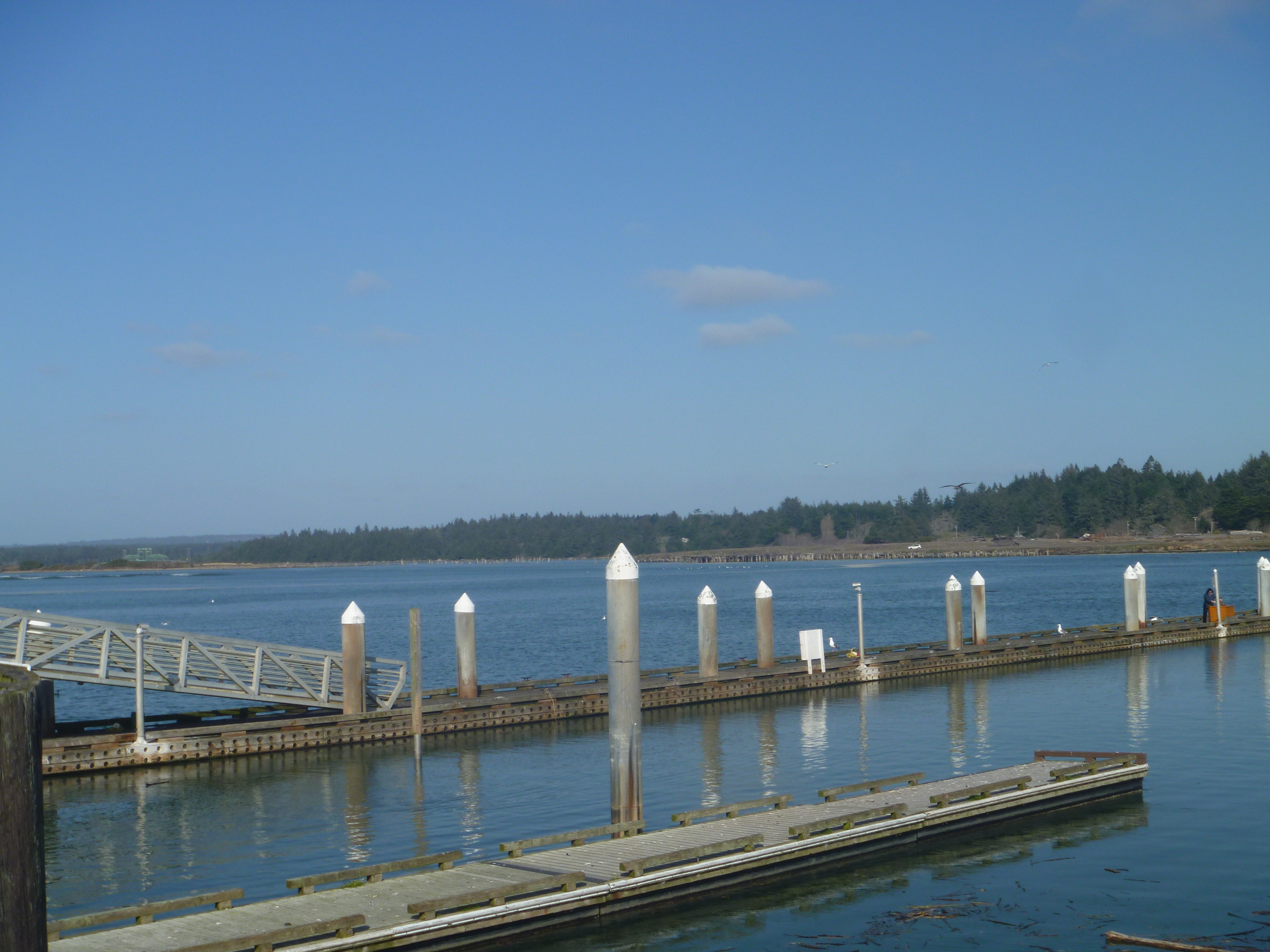 Adventures along the Umpqua River and the Oregon Coast | Adventures ...